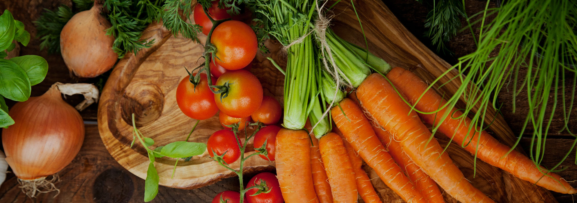 Daycare Food and Catering Company | Food2You Healthy Daycare Catering