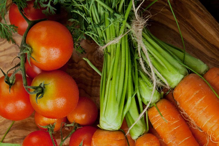 Daycare Food and Catering Company | Food2You Healthy Daycare Catering